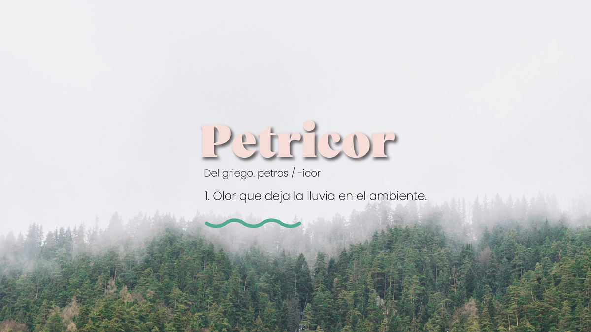 ¿Qué es el Petricor? – hauplant